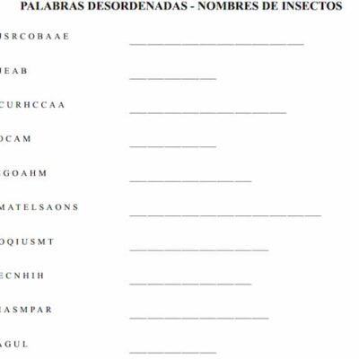 Sopa de letras online de nombres de insectos
